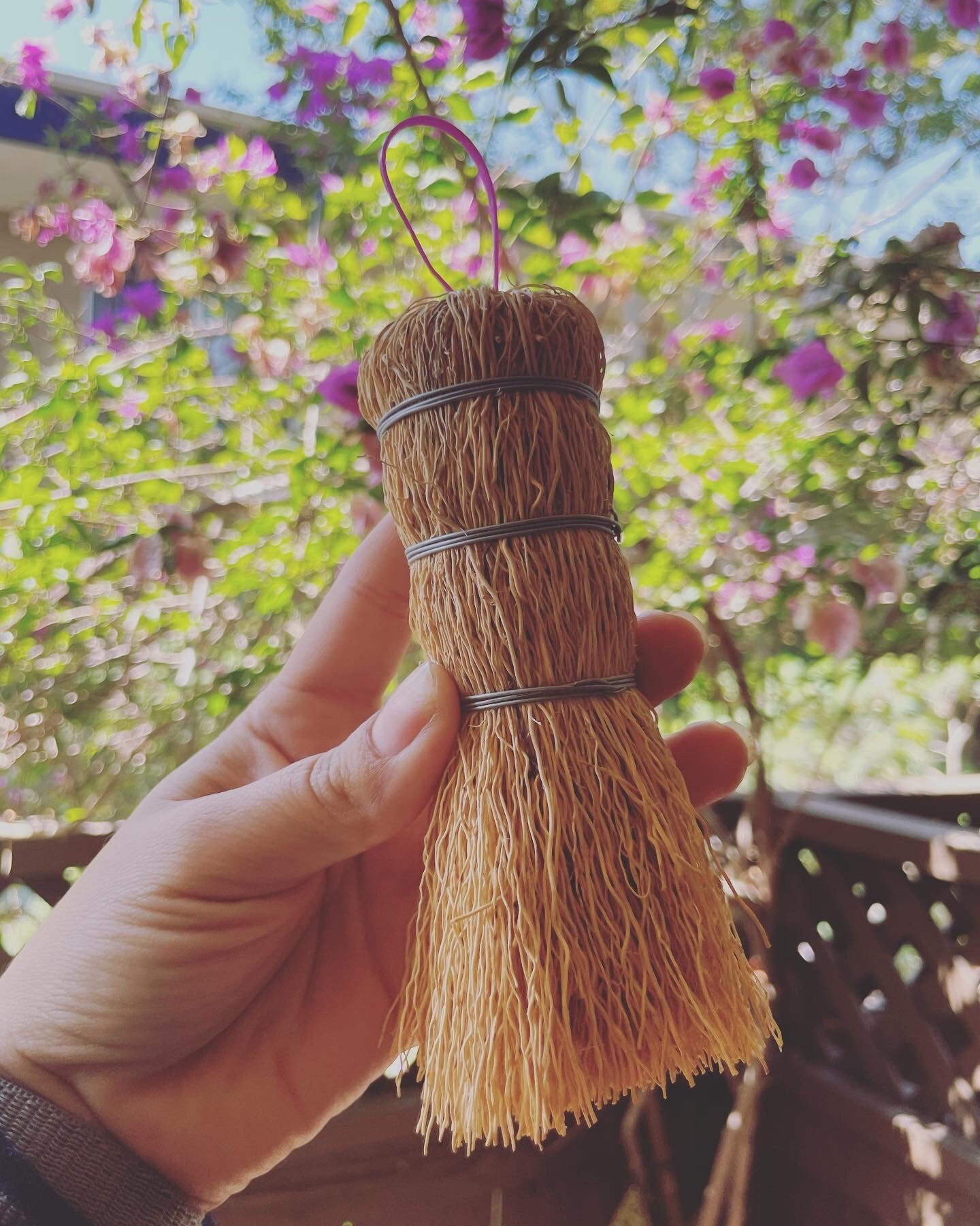 Natural Mexican Root Brush Scrubber: Heavy Duty Pot Cleaning (5" Sets ...