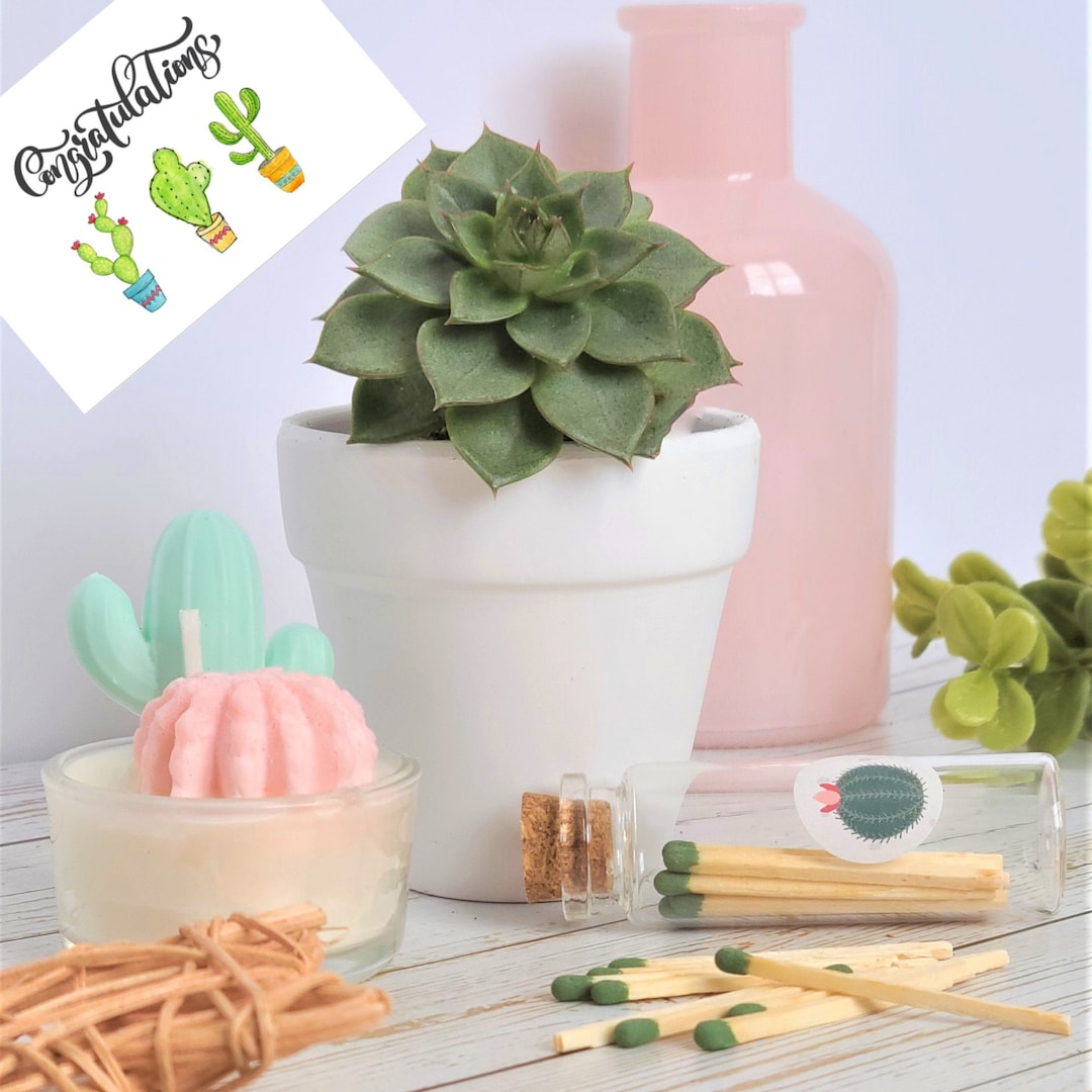 Congrats Gift, Congratulations Gift Box, Personalized Gift, Care ...