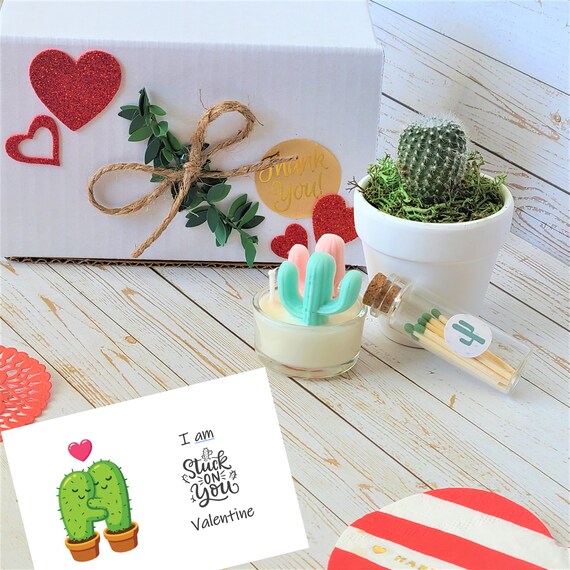 Valentines day Valentines Cactus Gift valentines day gift | Etsy
