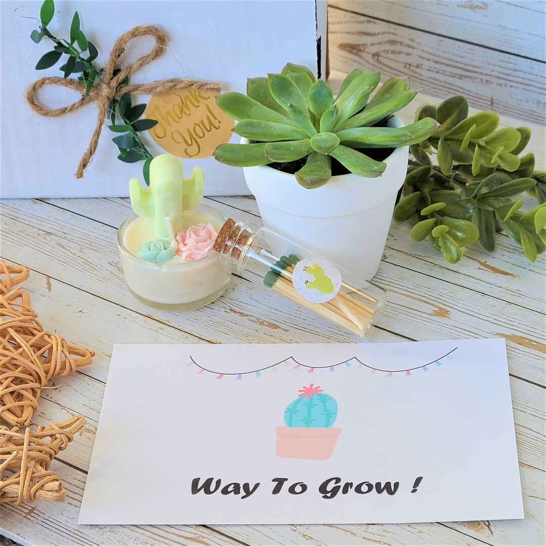 Way to Grow Gift, New Job Gift, New Promotion Gift Box, Succulent Gift ...