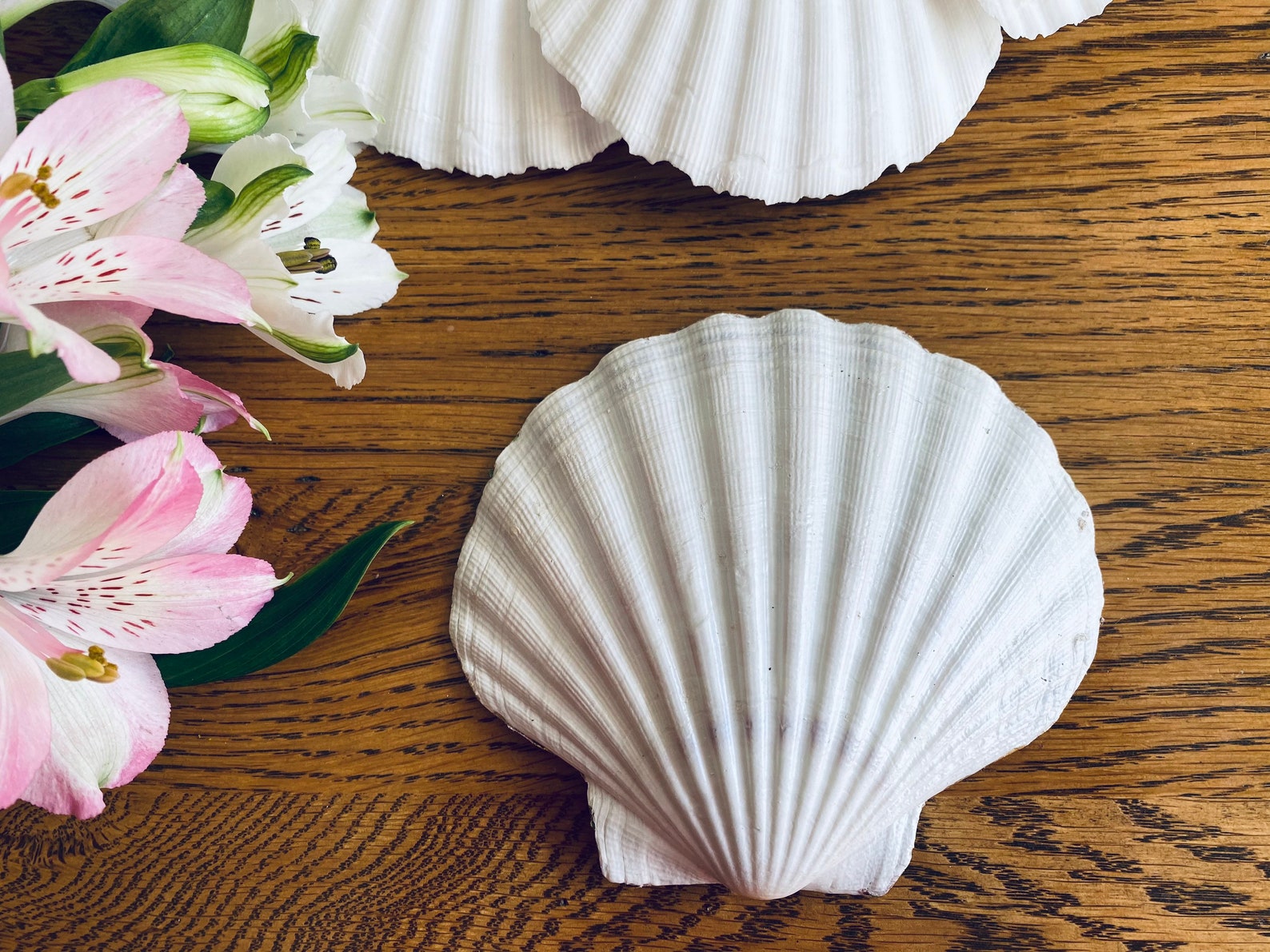 Scallop Shell Trinket Dish Dainty Flowers Decoupage Ring - Etsy