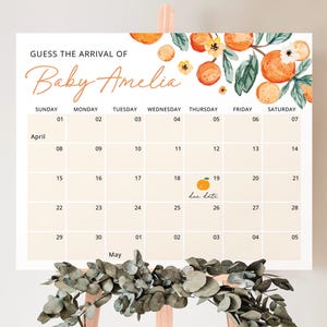 Little Cutie Guess the Baby Due Date Calendar Game Sign, Orange Citrus ...