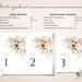 Boho Wedding Table Number Template, Terracotta Modern Sage Table ...