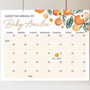 Little Cutie Guess the Baby Due Date Calendar Game Sign, Orange Citrus ...