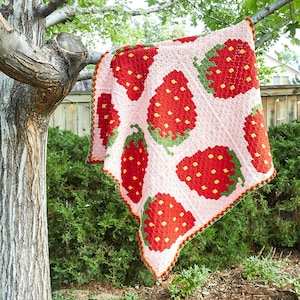 Strawberry Fields C2C Crochet Afghan PATTERN | Strawberry Corner to ...