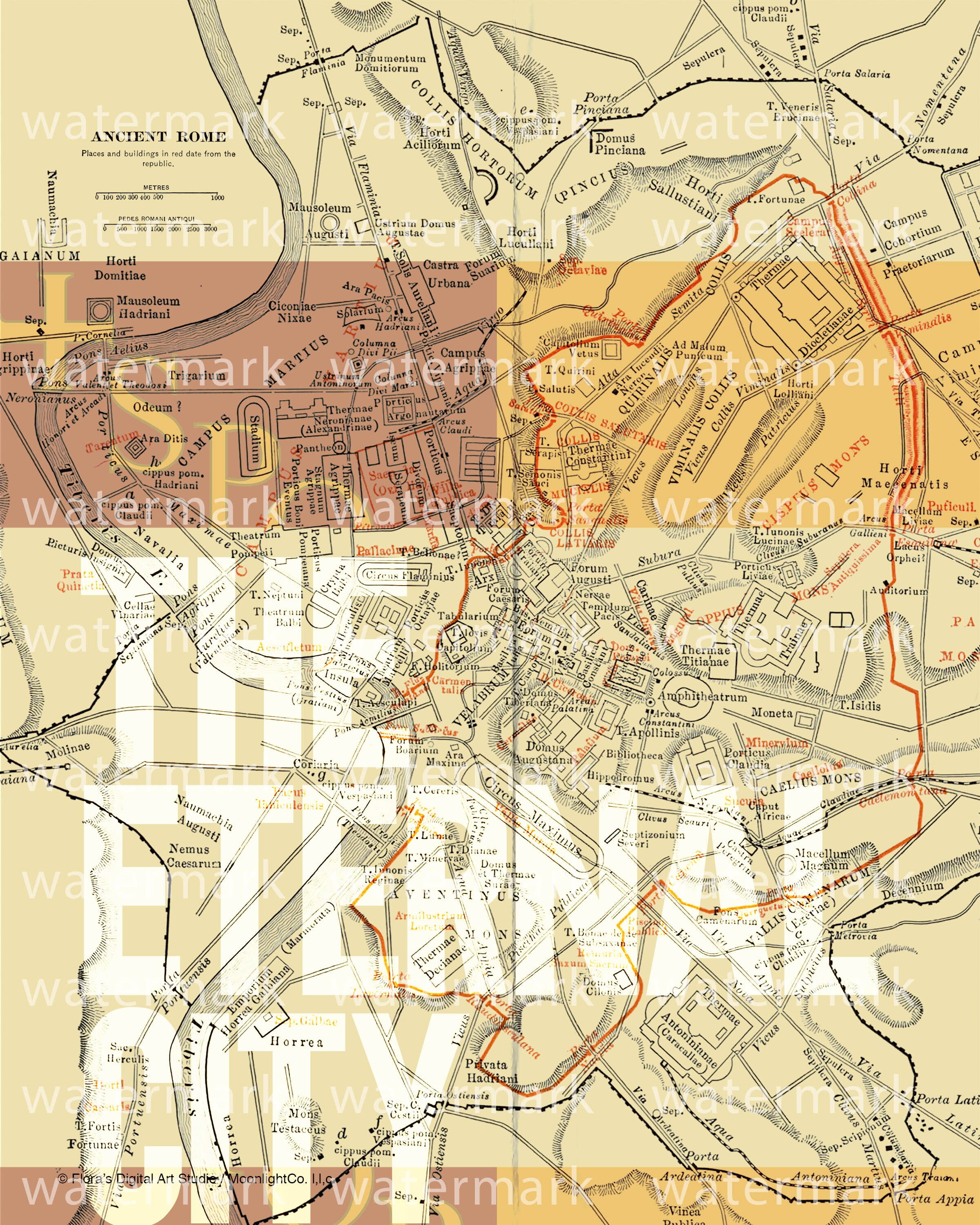 Printable Rome Italy Map Digital Wall Art Vintage City Map Digital ...