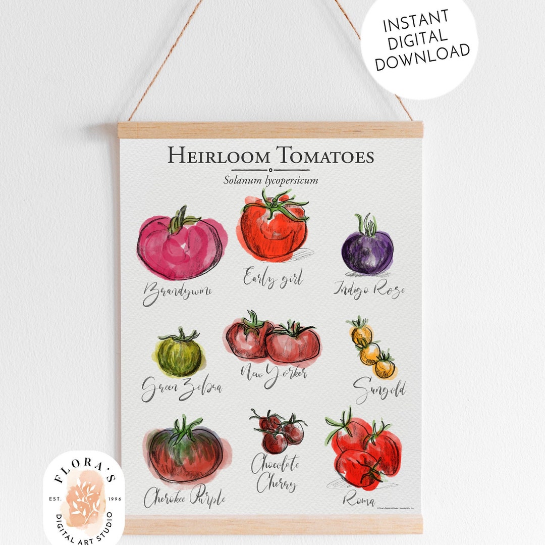 Printable Kitchen Tomatoes Wall Art, Watercolor Vegetable Poster ...