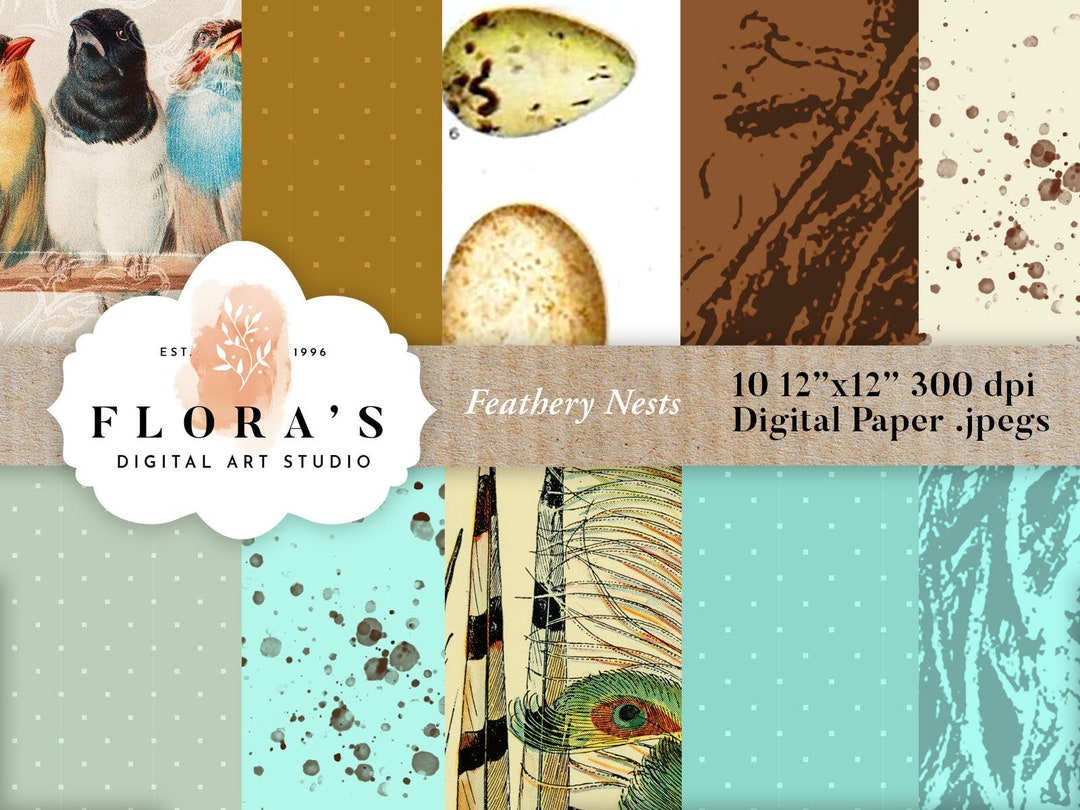 Vintage Birds& Nests Printable Digital Scrapbook Paper, Robin Egg Blue ...