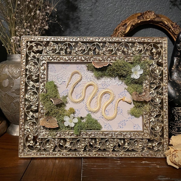 Snake Skeleton - Etsy