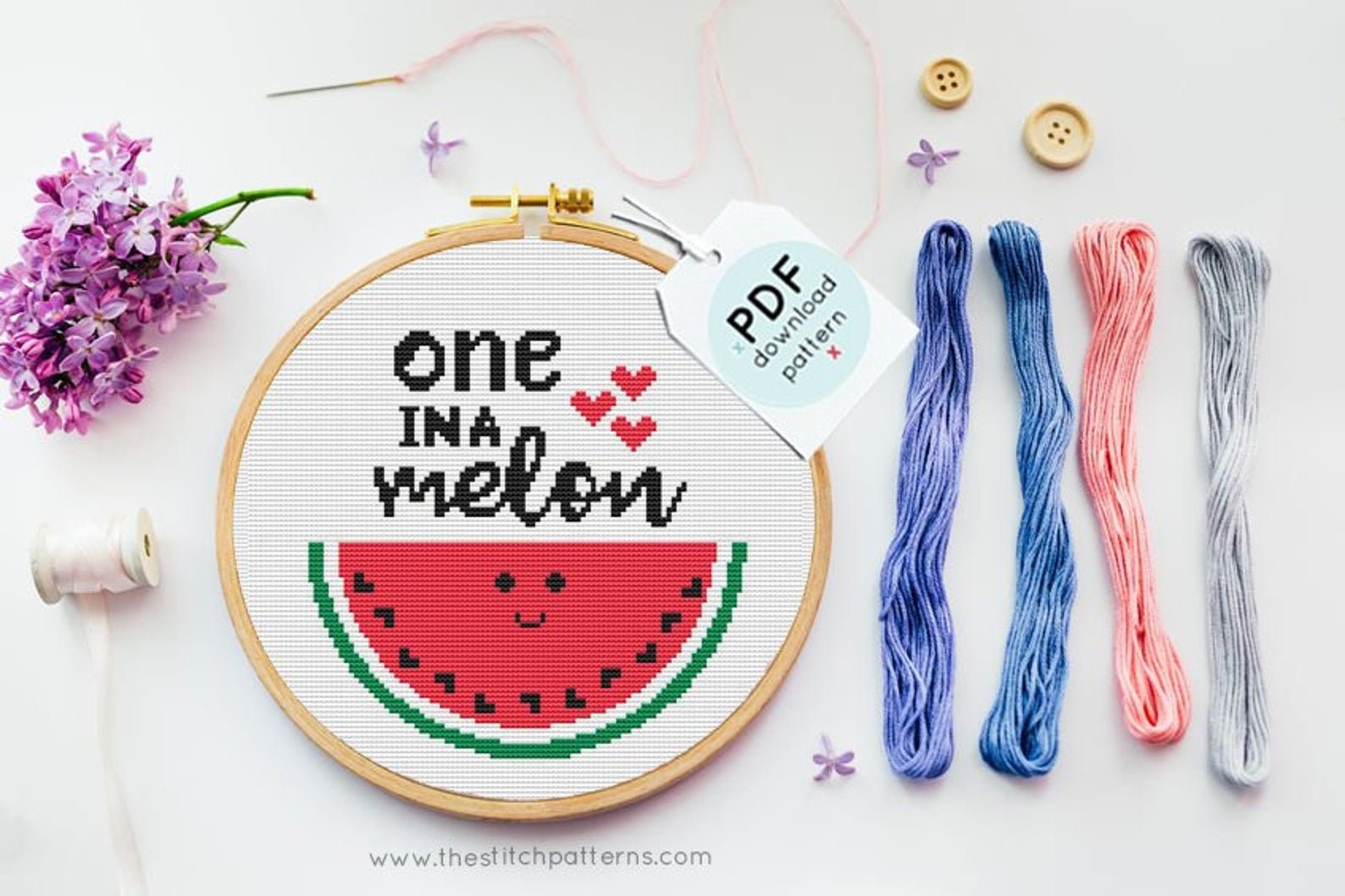 Modern cross stitch pattern one in a melon cross stitch | Etsy