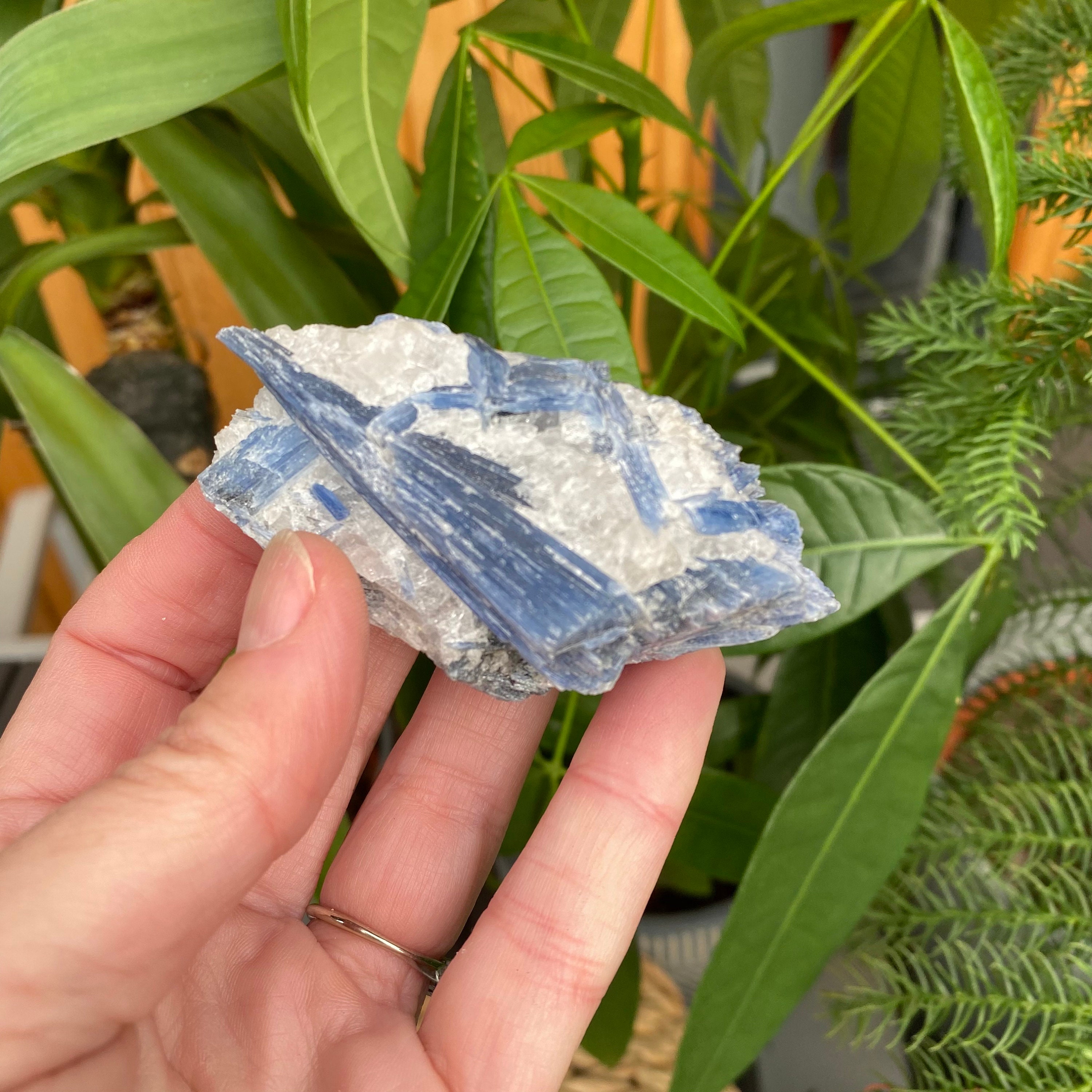 Blue Kyanite Large Raw Natural Crystal - Rough Gemstone - Etsy