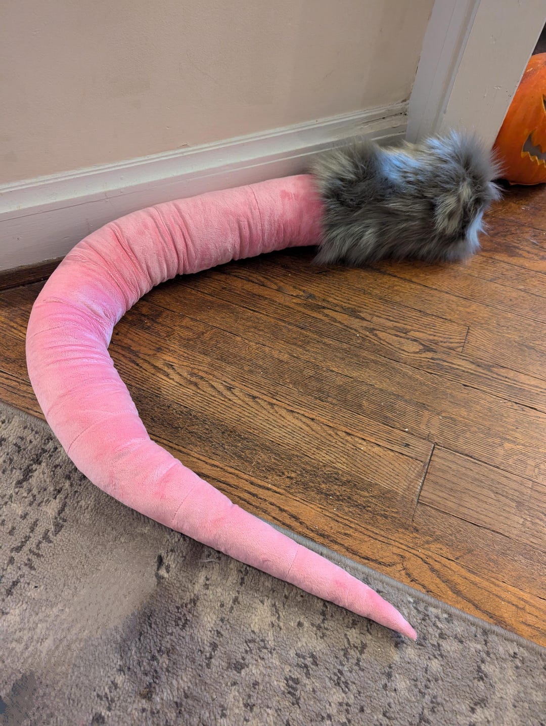 Floor Dragger Opossum Tail / 56" Long / Rodent / Tail / Hidden Beltloop ...