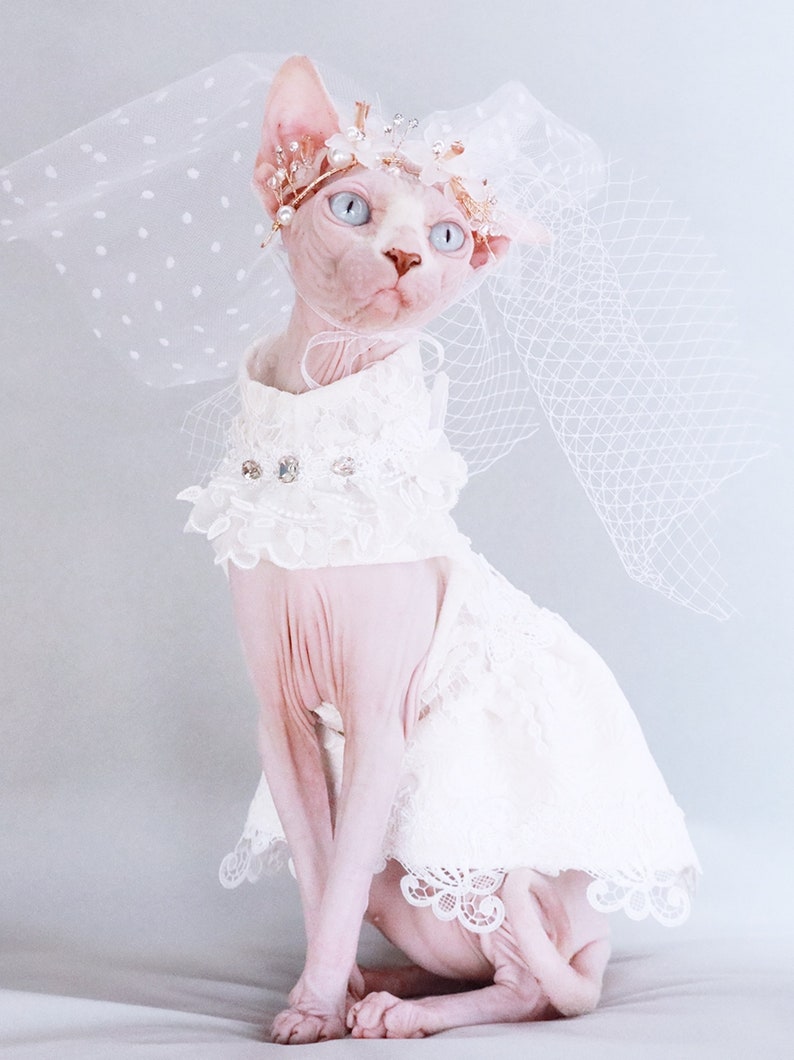 White Bridal Pet Wedding Dress, Cat Dog Bridesmaid Dress, - Etsy