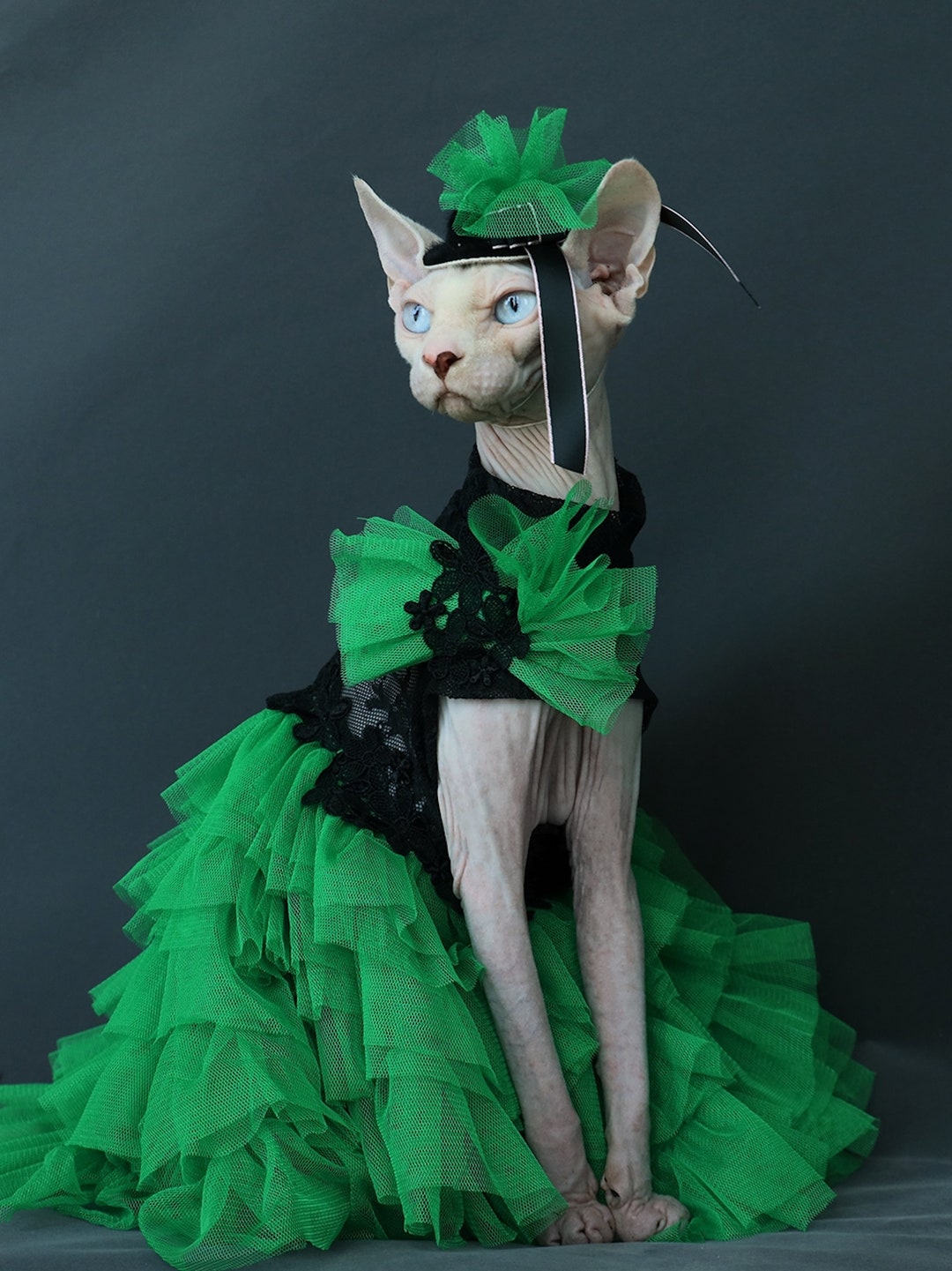 Cats/dogs/green and Black Flower Lace Dress Sphynx/unique/italian ...