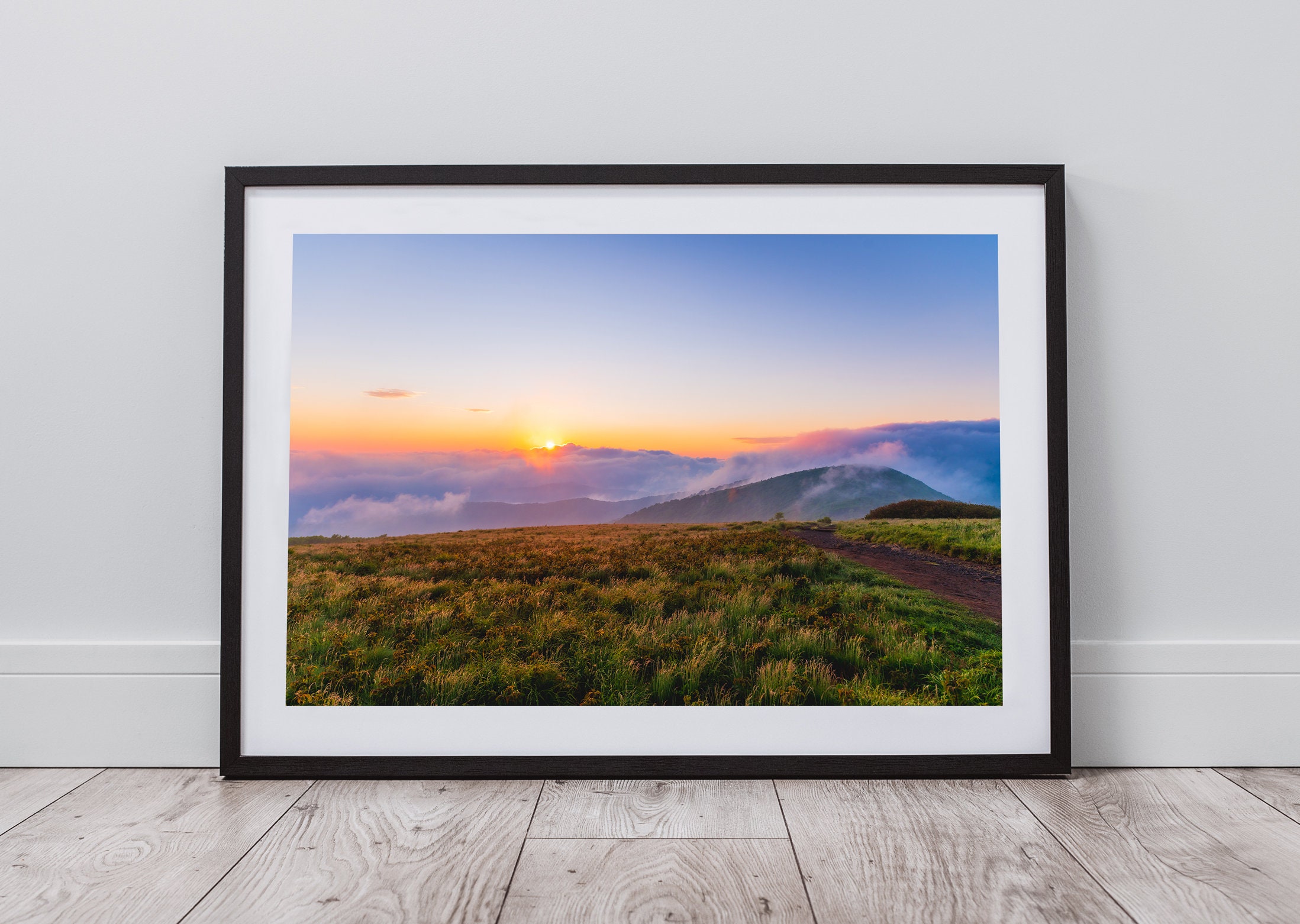 Instant Download Digital Art • carvers Gap, Roan Mountain, Tennessee ...