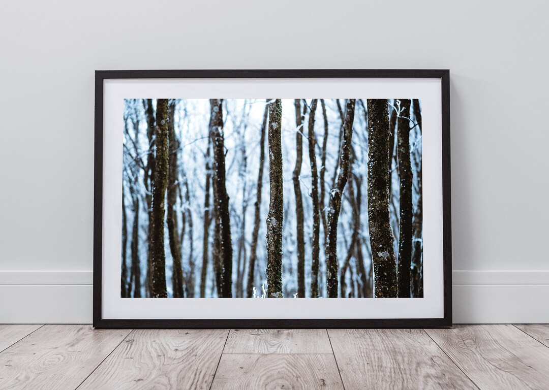 Instant Download Digital Art • Snow Covered Trees • Photography ...