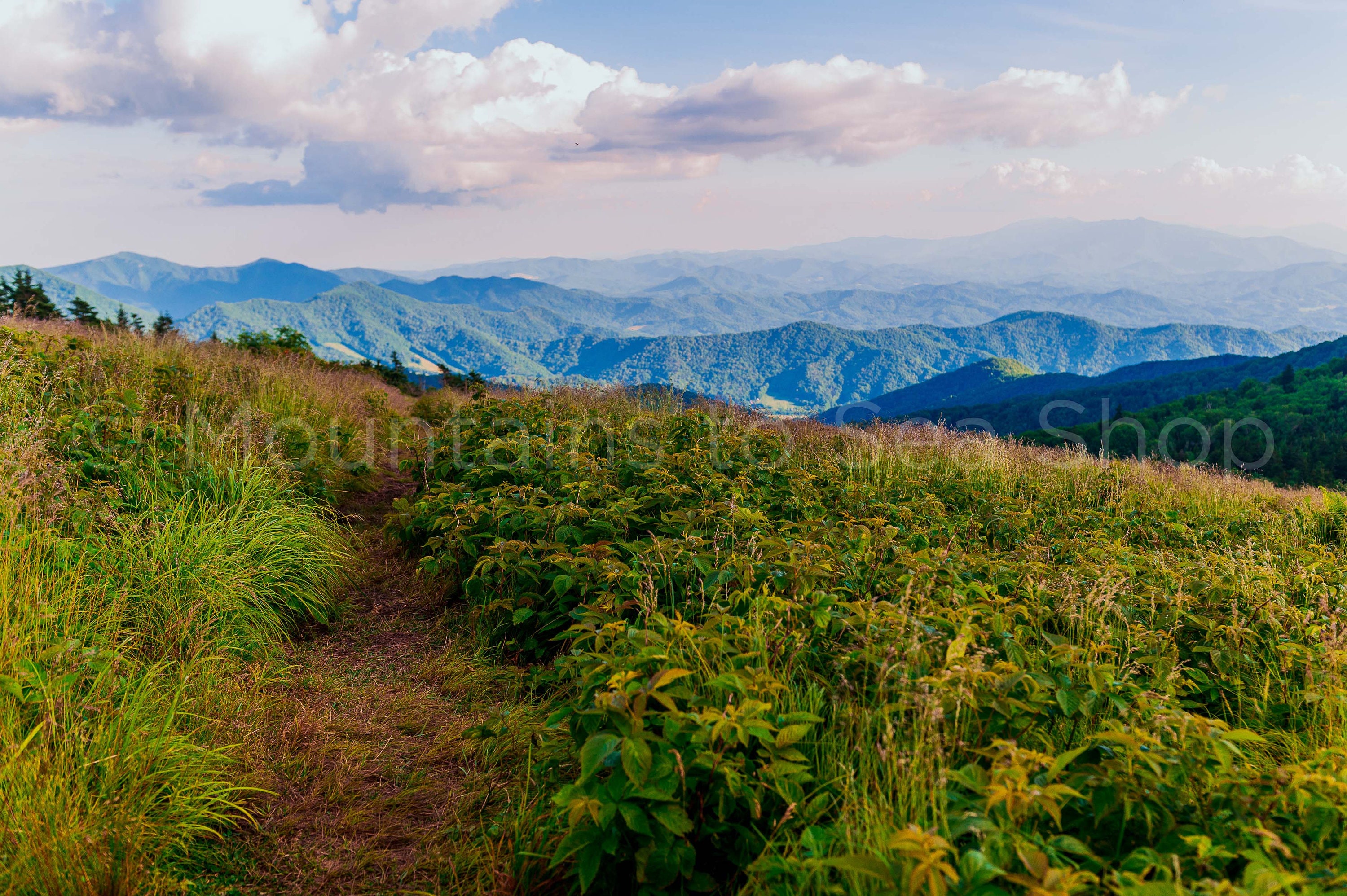 Instant Download Digital Art carvers Gap Roan Mountain - Etsy