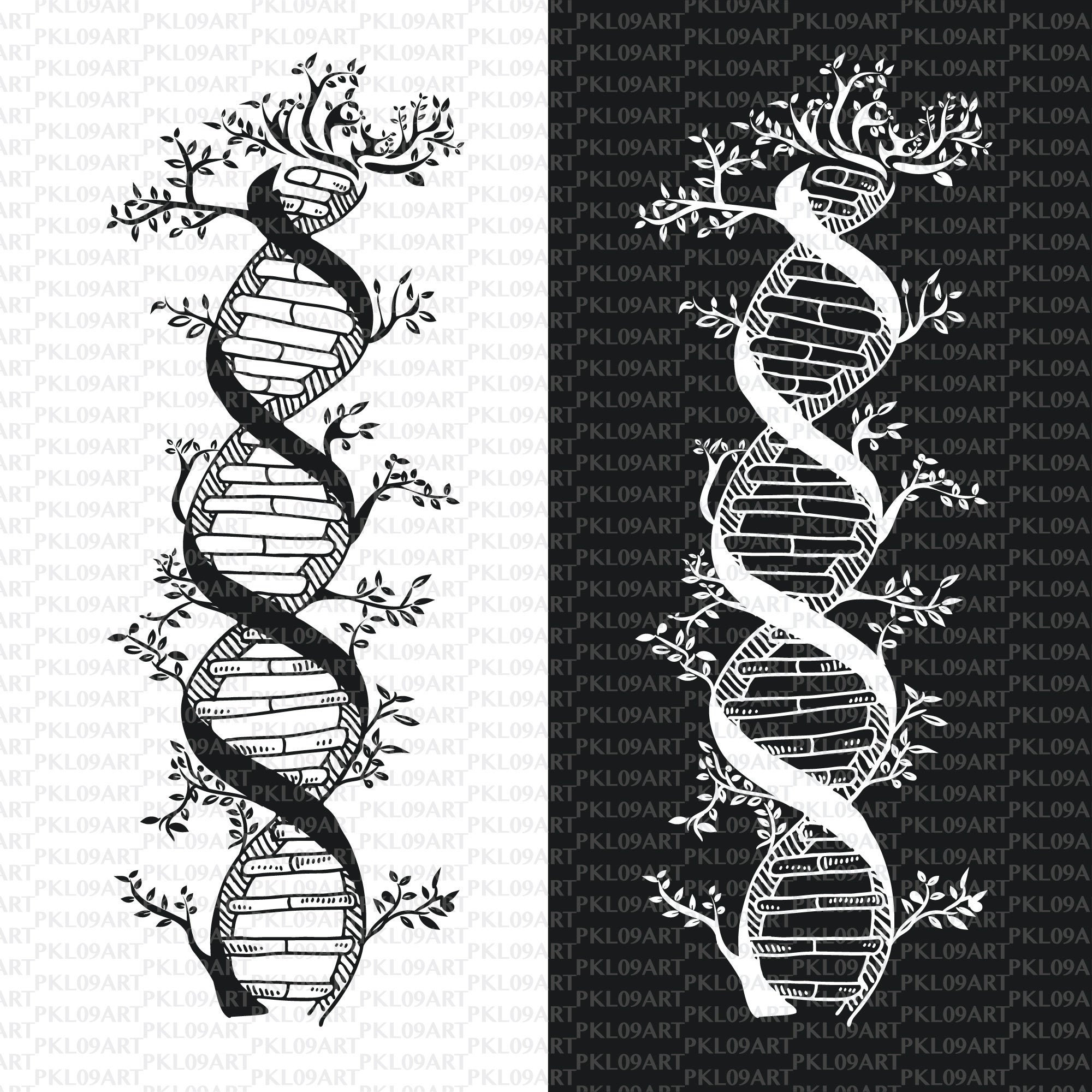 Dna Strand Drawing