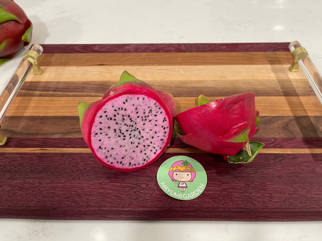 Well Rooted Delight Dragon Fruit red Skin Pink Flesh 16 - Etsy