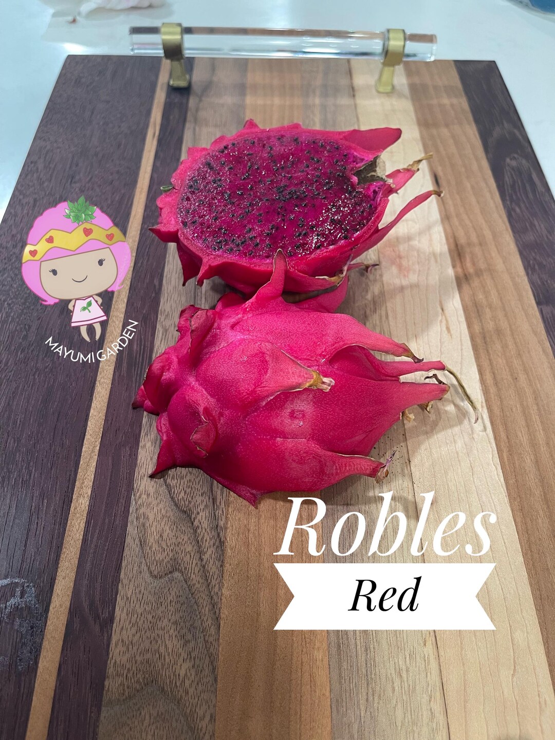 Robles Red Dragon Fruit Cuttings (12") - Etsy