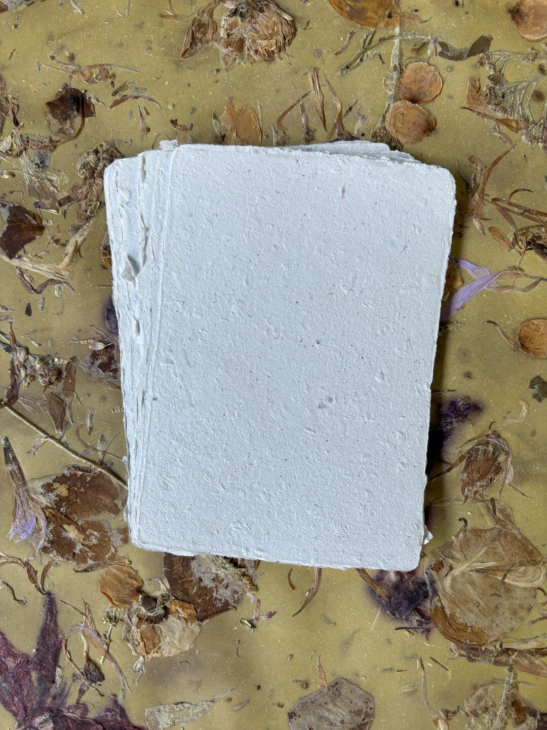 Frozen Bay Handmade Paper- 4x6 8.5x11 - Etsy