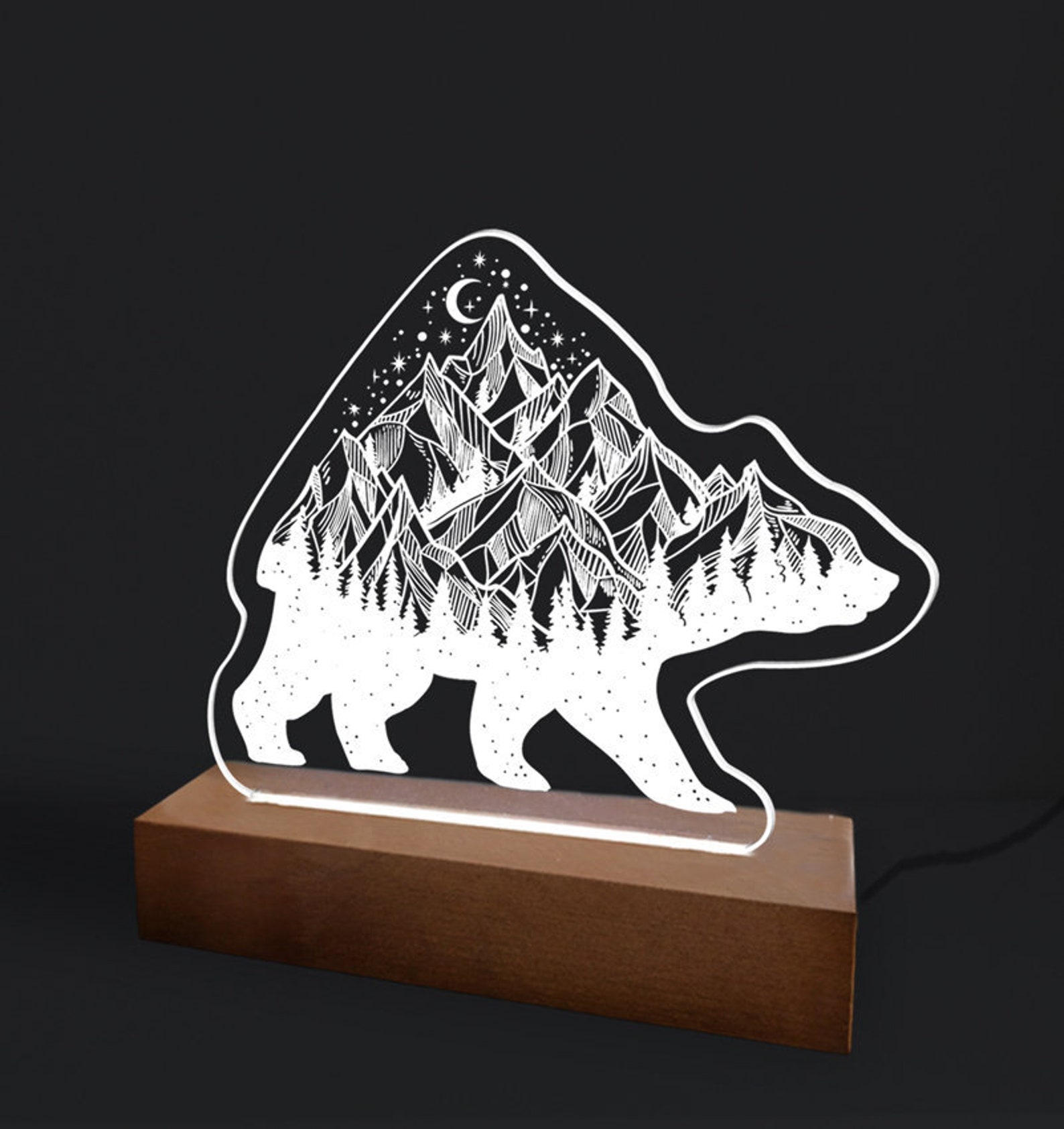 Acrylic LED Night Light / Polar Bear acrylic night light /Gift | Etsy