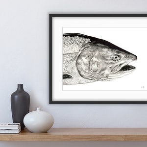 Chinook Salmon Ink Drawing - Print - Etsy