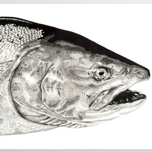 Chinook Salmon Ink Drawing - Print - Etsy