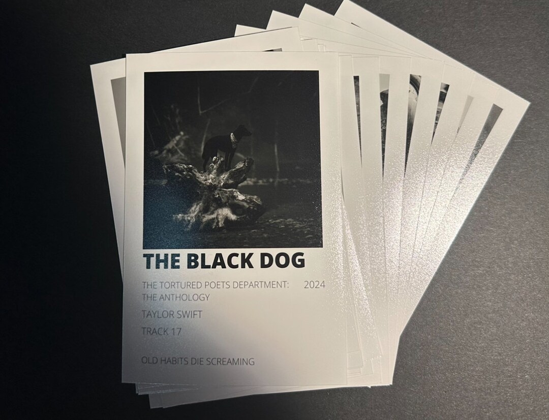 Taylor Swift TTPD the Anthology Inspired Song Posters - Etsy