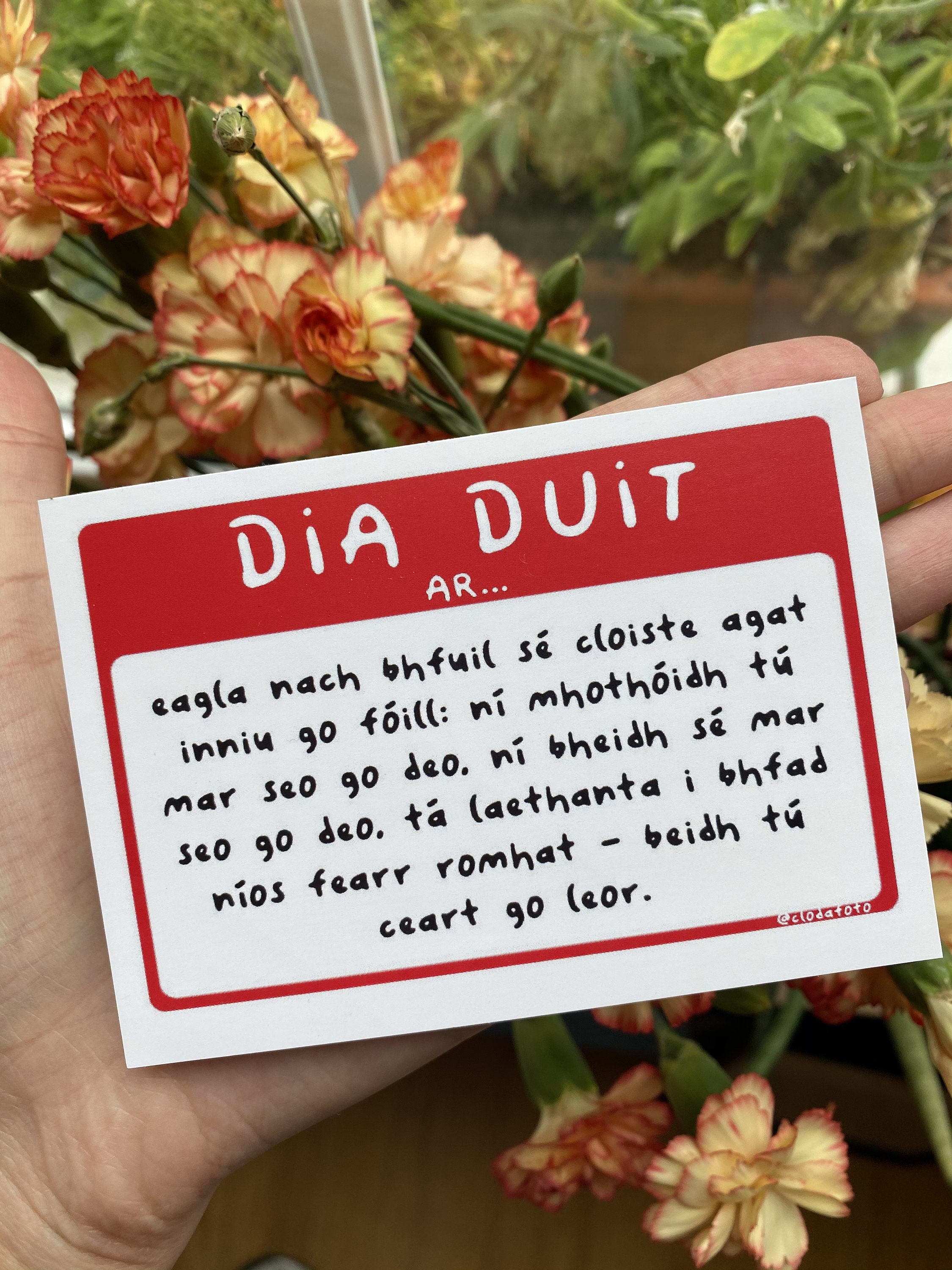 Meme Go Leor Gaeilge Red Sticker Translation In Description Please