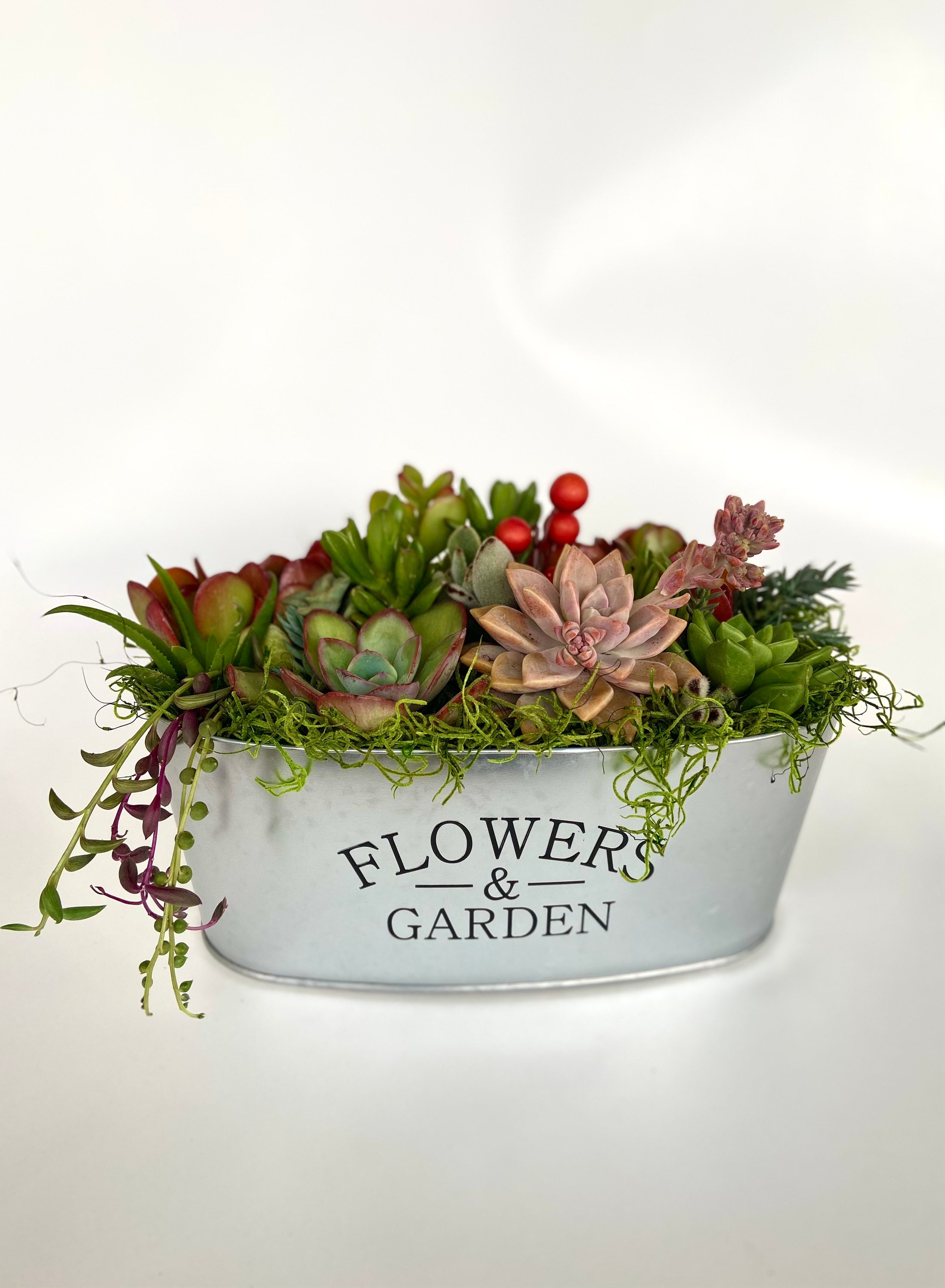 Vintage Farm Style Succulent Arrangement in Galvanized Oval | Etsy