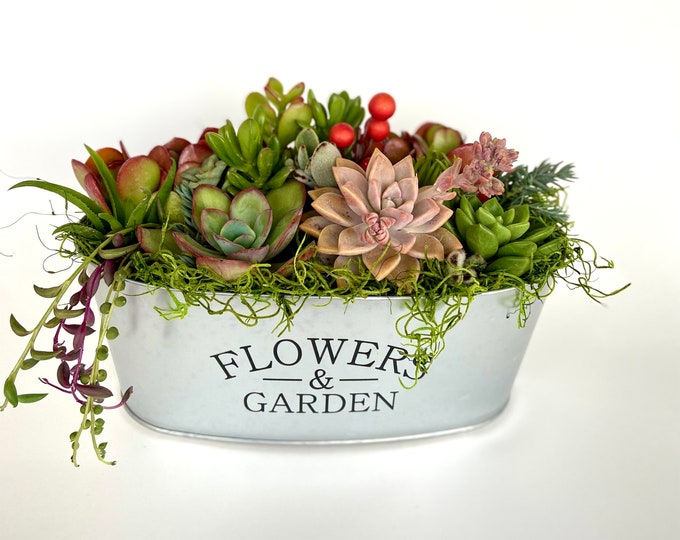 Vintage Farm Style Succulent Arrangement in Galvanized Oval Planter the ...