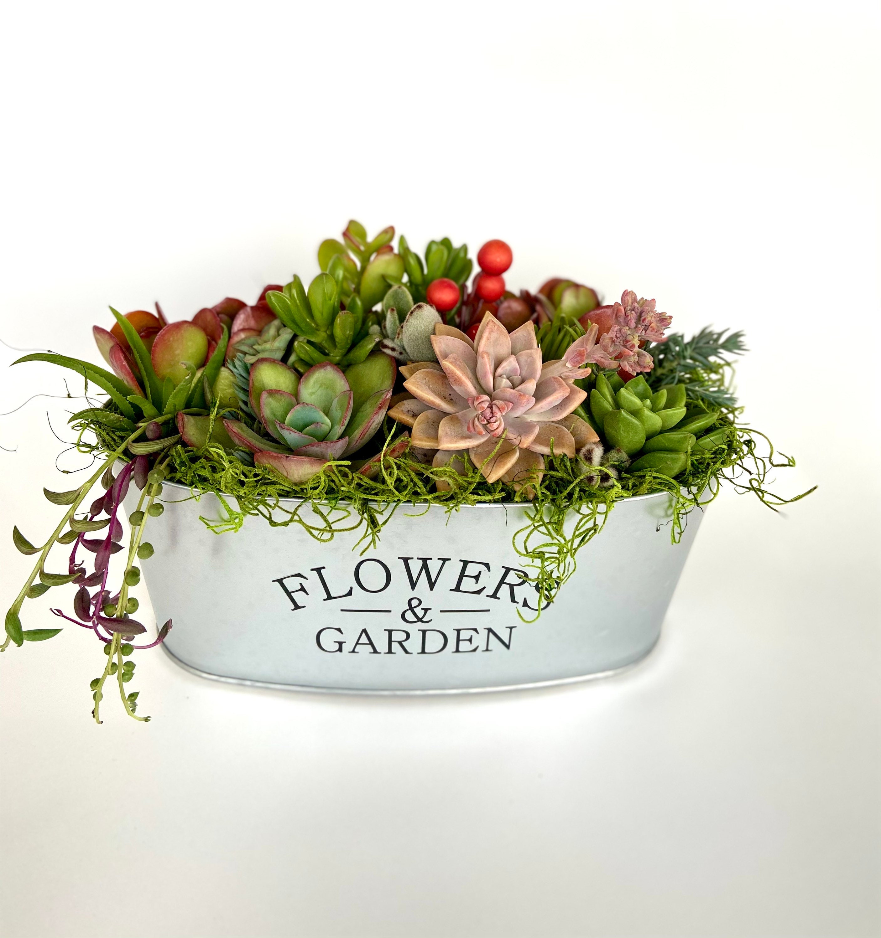 Vintage Farm Style Succulent Arrangement in Galvanized Oval | Etsy