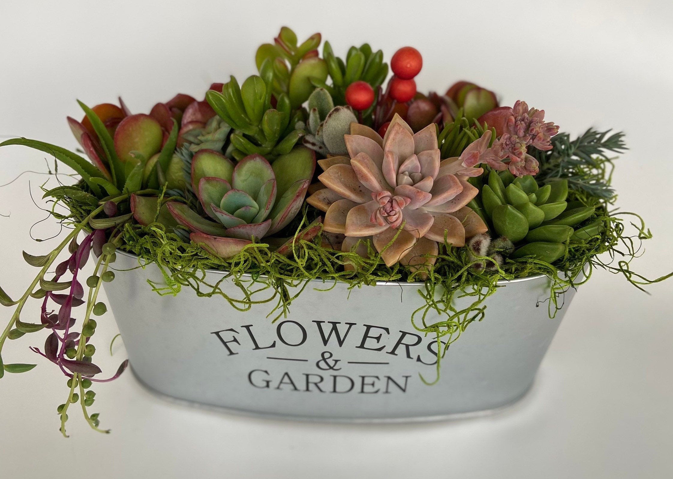 Vintage Farm Style Succulent Arrangement in Galvanized Oval | Etsy