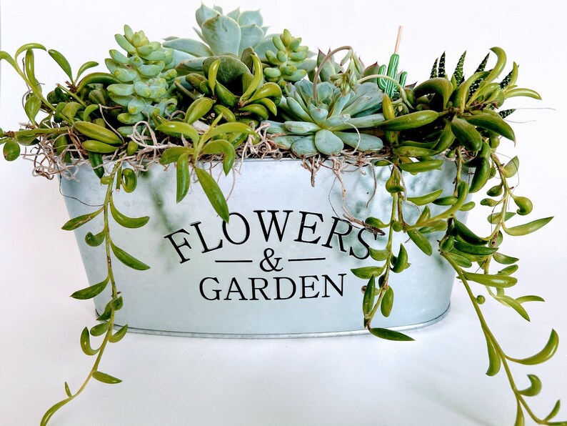 Vintage Farm Style Succulent Arrangement in Galvanized Oval | Etsy