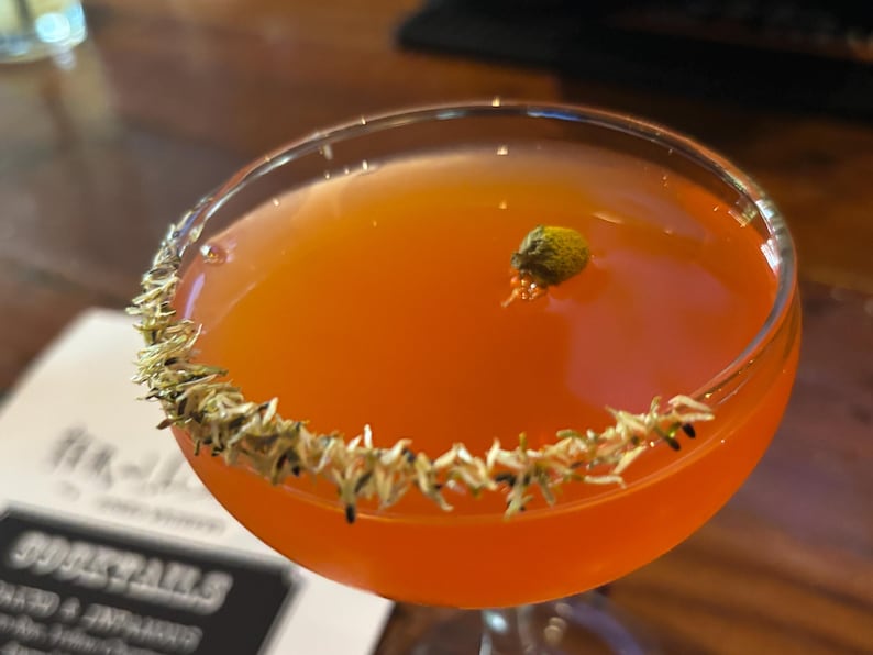 Organic Buzz Buttons: Herbal Cocktail Garnish Edible Spilanthes Flowers ...