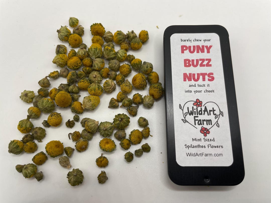Herbal Buzz Button Mints - PUNY BUZZ NUTS™ Breath Mint Size Organic ...