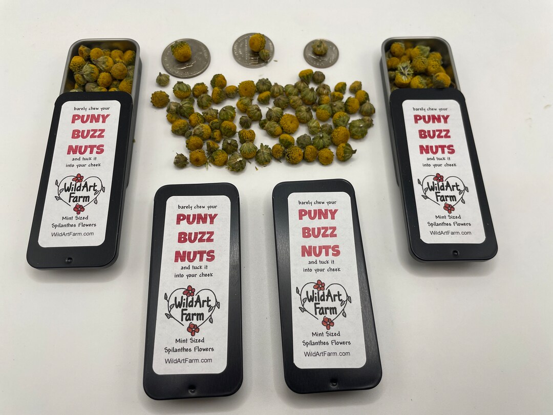 Herbal Buzz Button Mints - PUNY BUZZ NUTS™ Breath Mint Size Organic ...