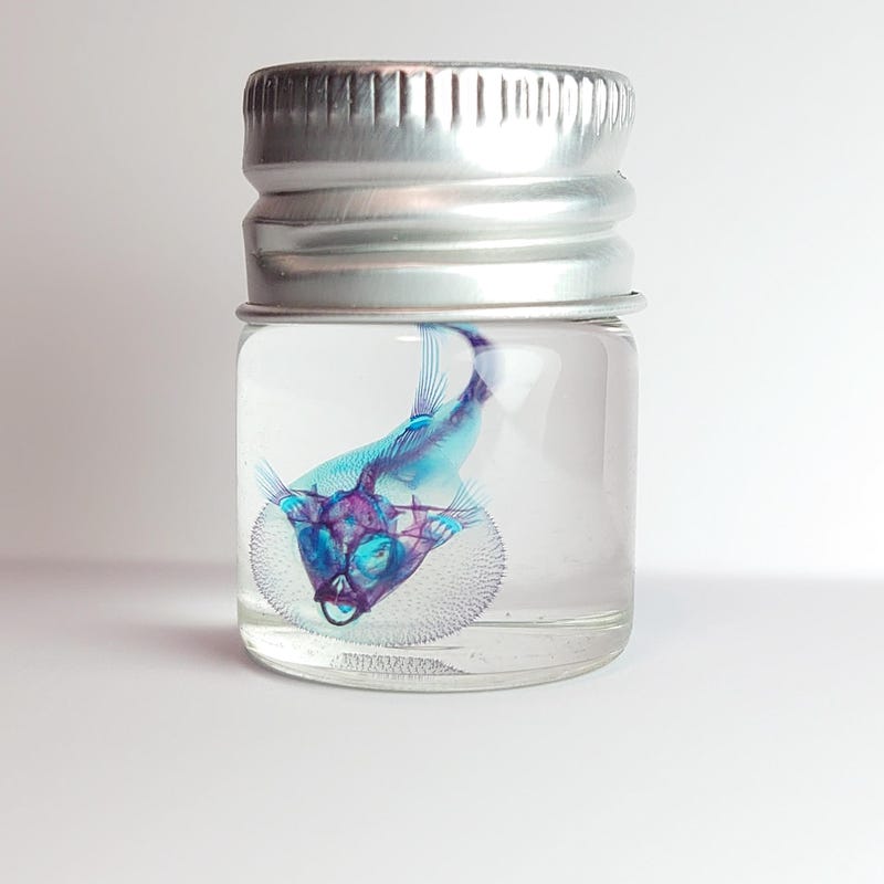 Diaphonization - Etsy