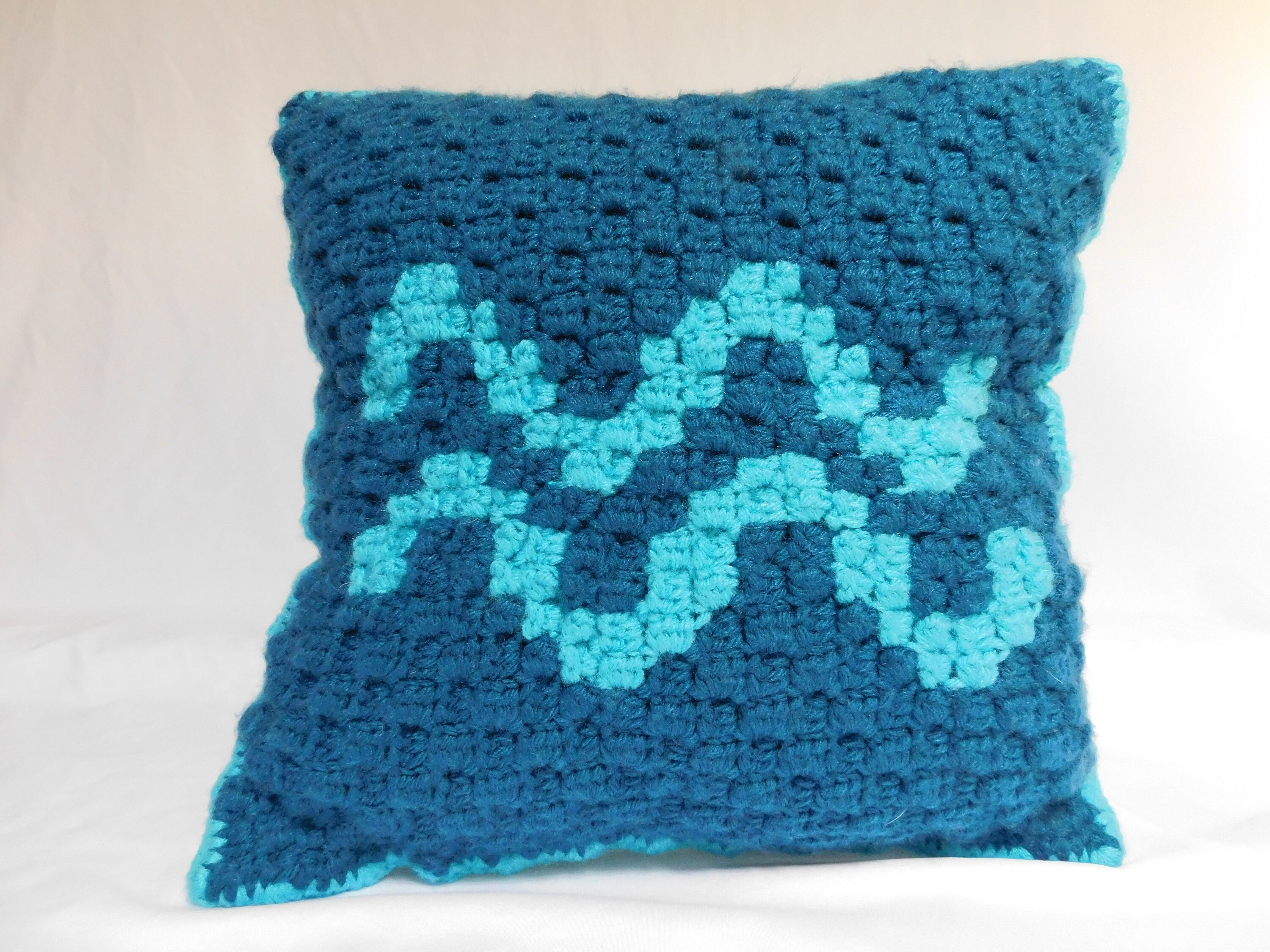 Patterns Written row by row Astrology C2C Graph Zodiac Aquarius Pillow ...