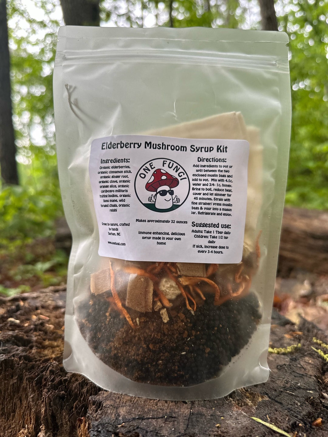 Elderberry & Medicinal Mushroom Syrup Kit - Etsy