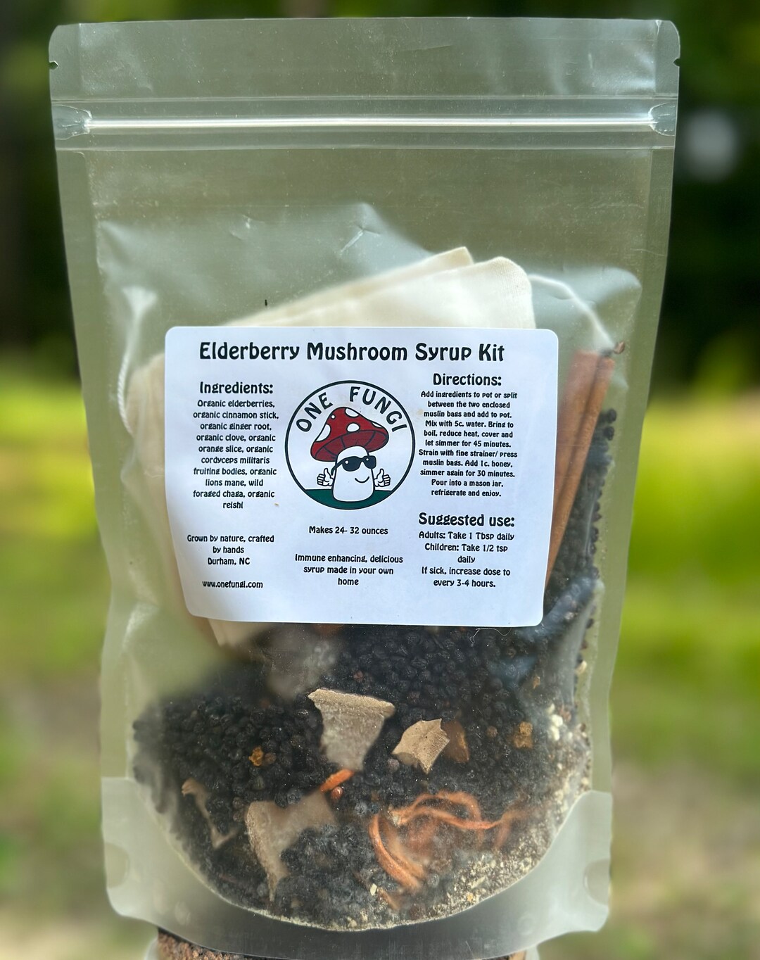 Elderberry & Medicinal Mushroom Syrup Kit - Etsy