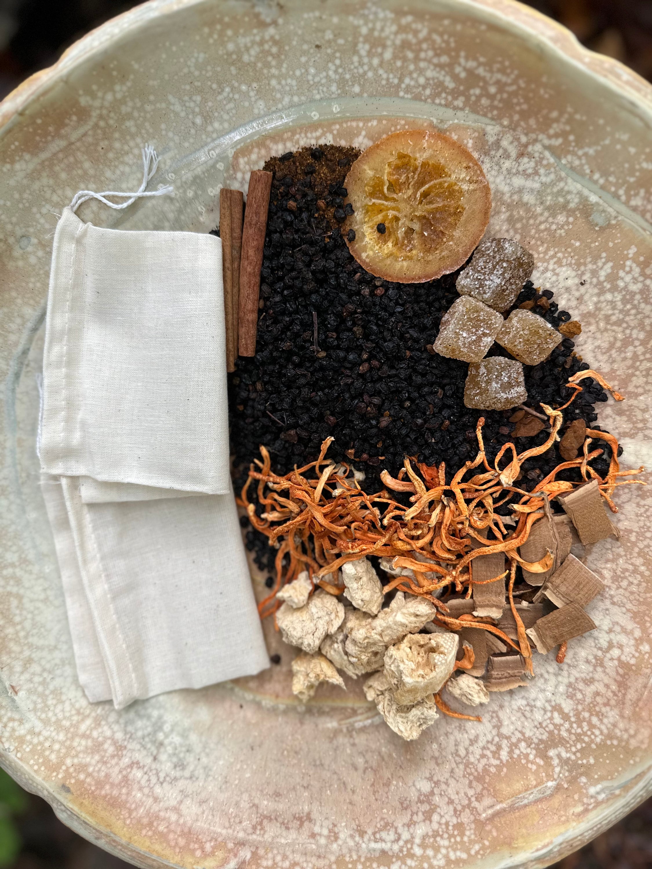 Elderberry & Medicinal Mushroom Syrup Kit - Etsy