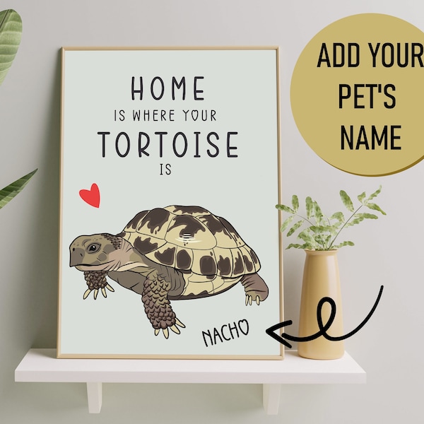 Tortoise Gifts - 60+ Gift Ideas for 2025