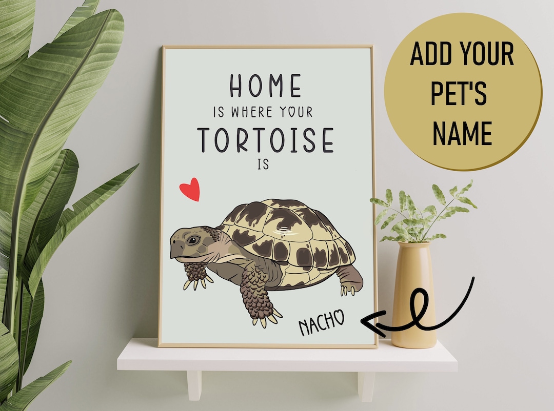 Tortoise Print A4 A5 | "home is Where Your Tortoise Is", Tortoise Owner ...