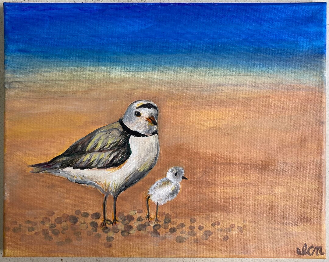 Piping Plover Mom and Baby Painting - Etsy