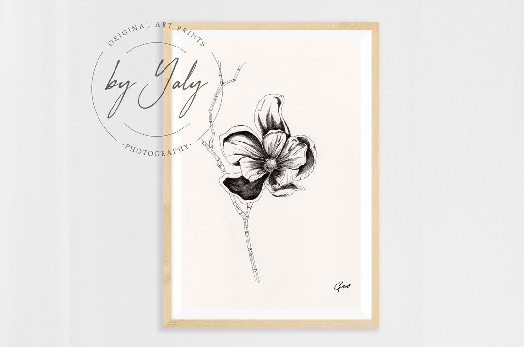 Magnolia Hand Drawn Ink Illustration, Black Ink Magnolia Wall Art Print ...