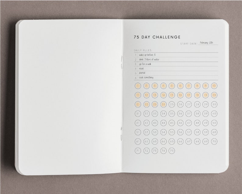 75 Day Challenge Printable Habit Tracker Download Goal Challenge ...