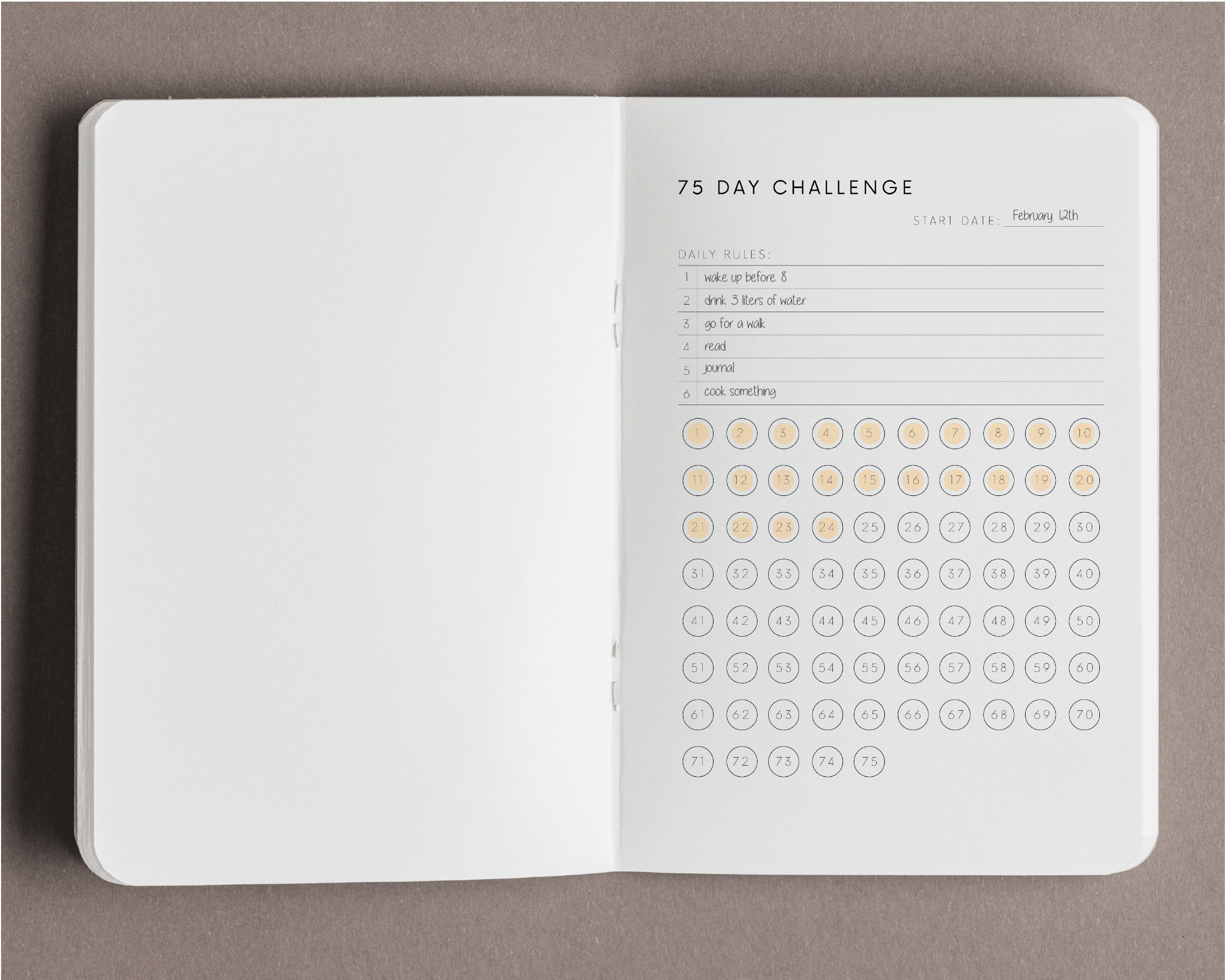 75 Day Challenge Printable Habit Tracker Download Goal Challenge ...