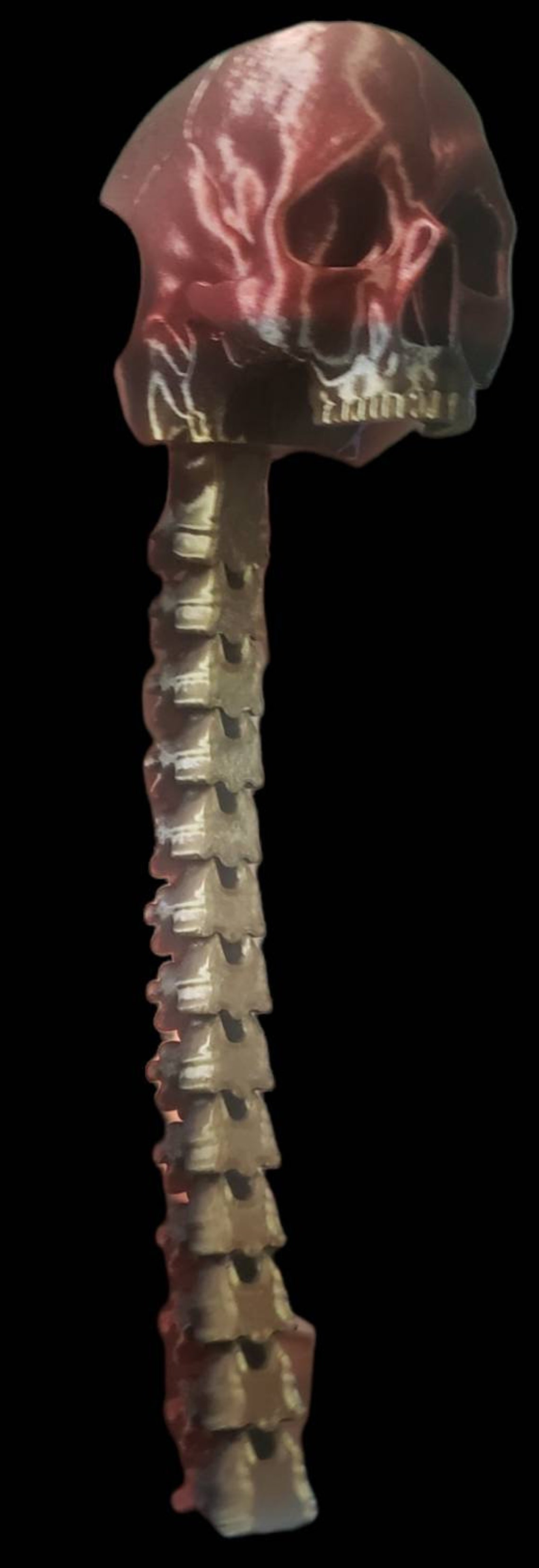 Large Articulating Trophy Skull and Spine - 3D Printed Fidget Toy - Etsy